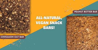 Ziggy Bars - Delicious Digestive Support for Moms and Kids
