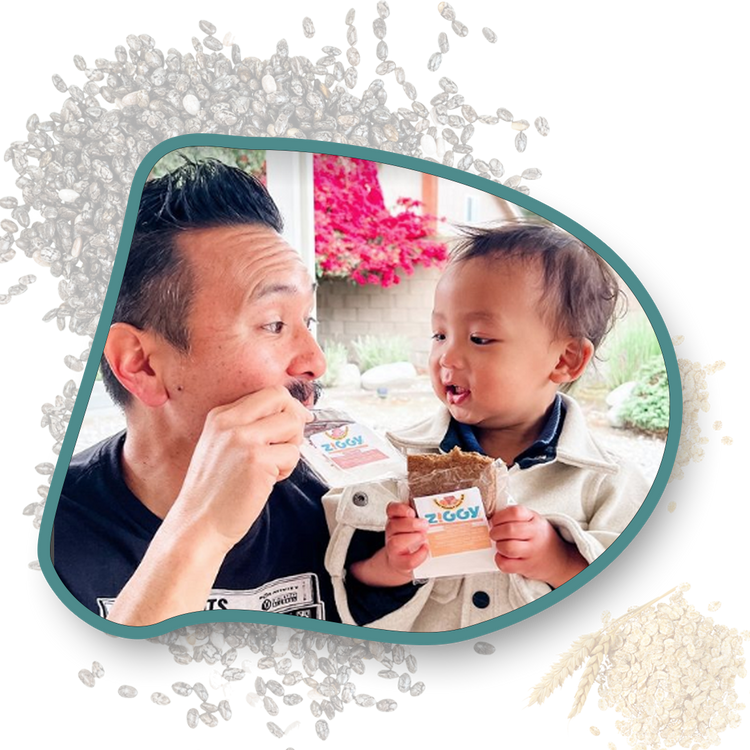 Ziggy Bars | Real Ingredient Snack Bars & Digestive Support